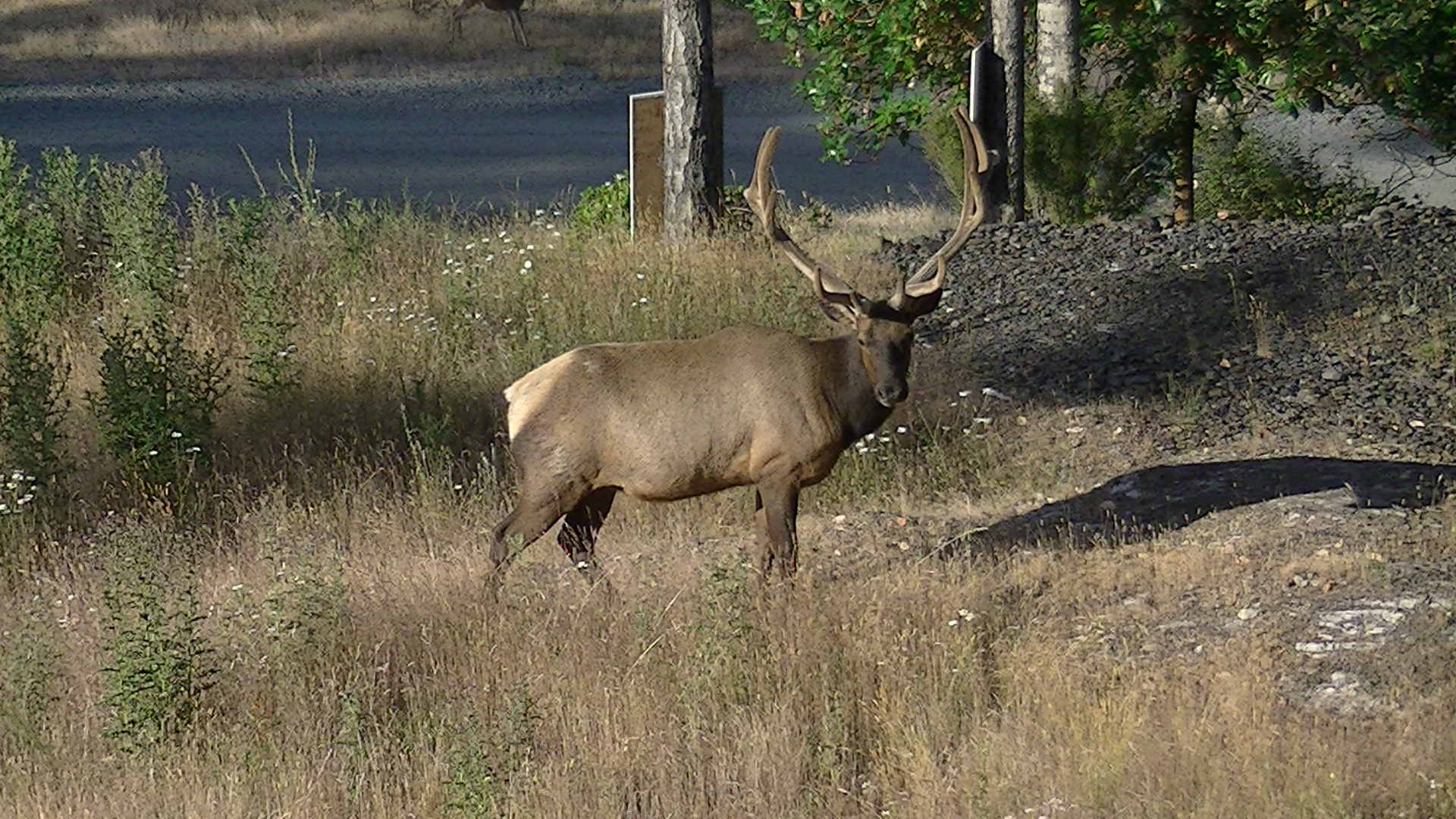 The Cottages at Marble Bay | Photo Gallery